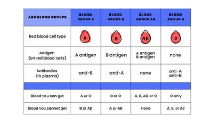 Can siblings have different blood types positive and negative ...