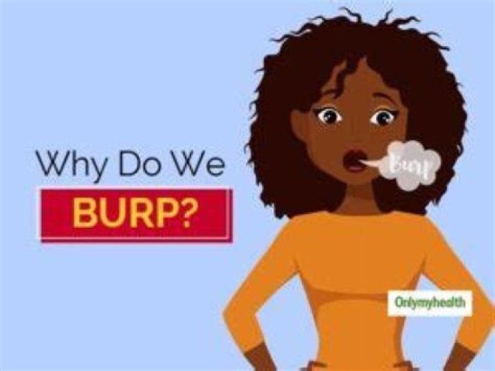 What is the difference between a burp and a belch? - TruthTrack News
